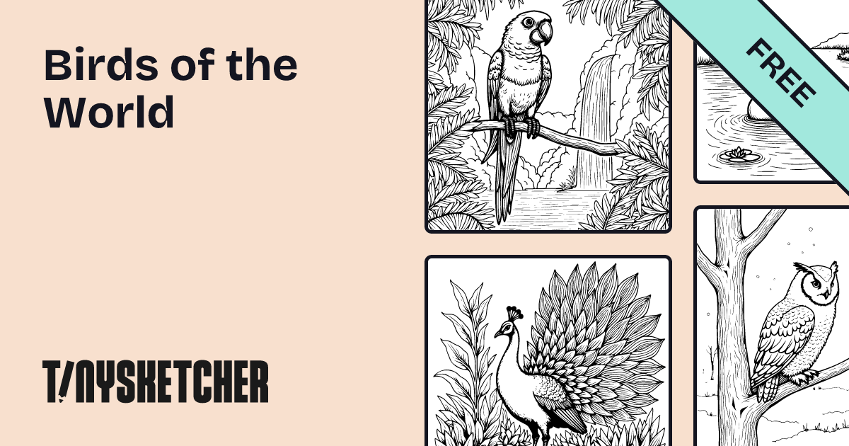 9 Birds of the World Coloring Pages | Free Printables | Tiny Sketcher