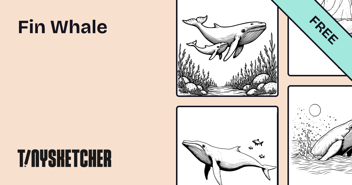 9 Fin Whale Coloring Pages | Free Printables | Tiny Sketcher