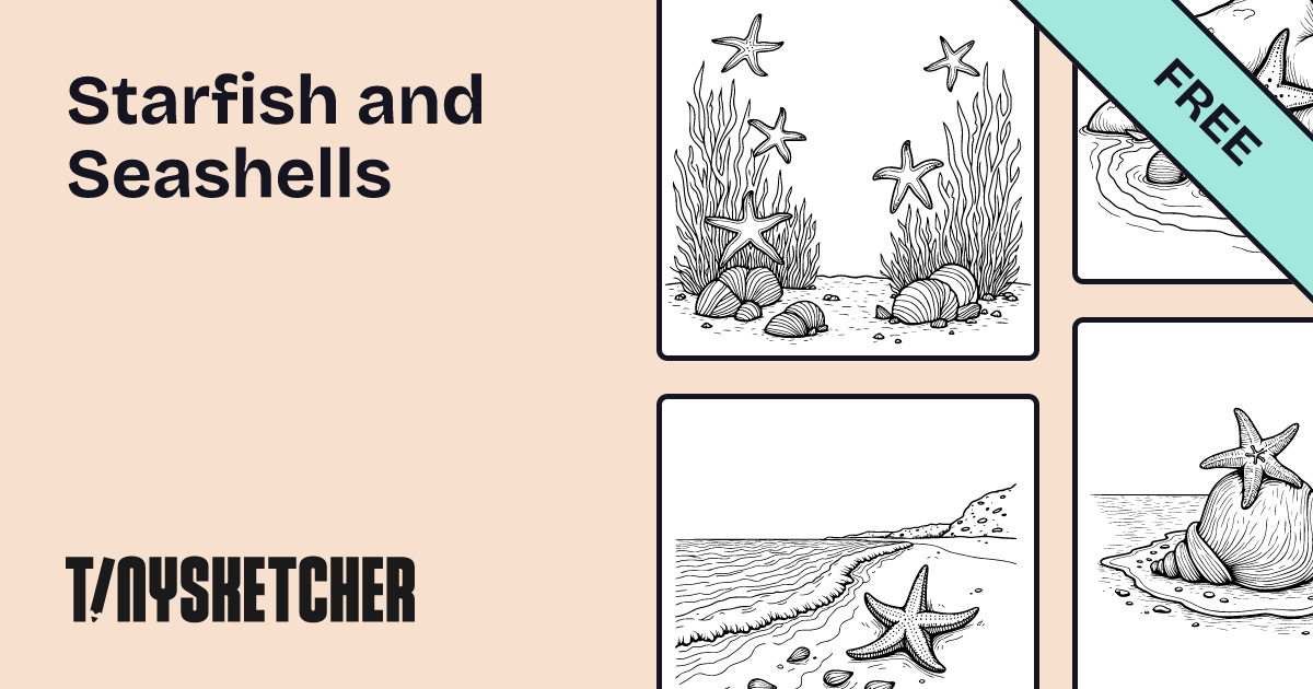 11 Starfish and Seashells Coloring Pages | Free Printables | Tiny Sketcher
