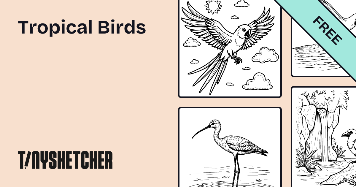 10 Tropical Birds Coloring Pages | Free Printables | Tiny Sketcher
