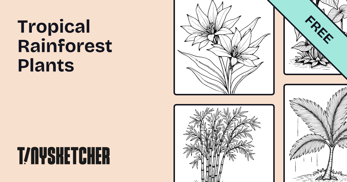 10 Tropical Rainforest Plants Coloring Pages | Free Printables | Tiny ...