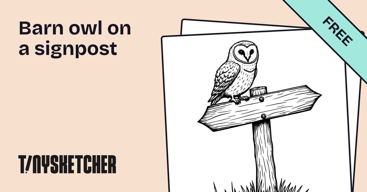 Barn owl on a signpost Coloring Page | Free Printables | Tiny Sketcher