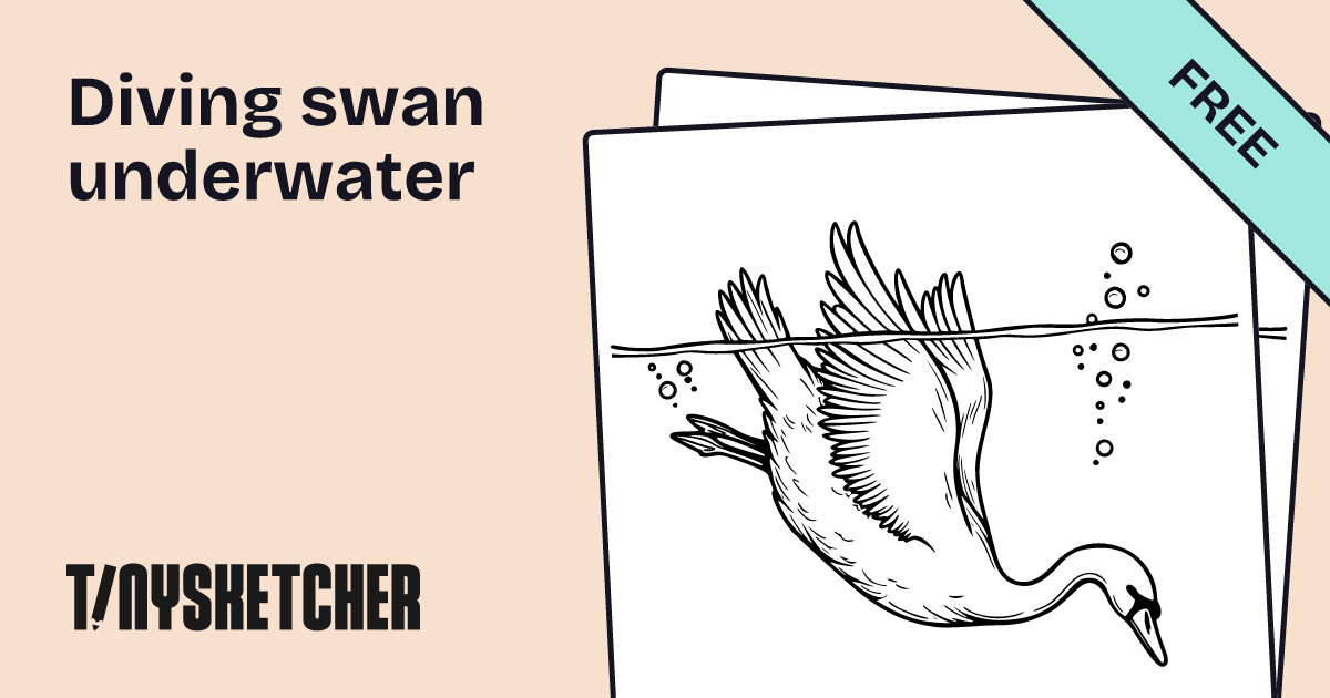 Diving swan underwater Coloring Page | Free Printables | Tiny Sketcher