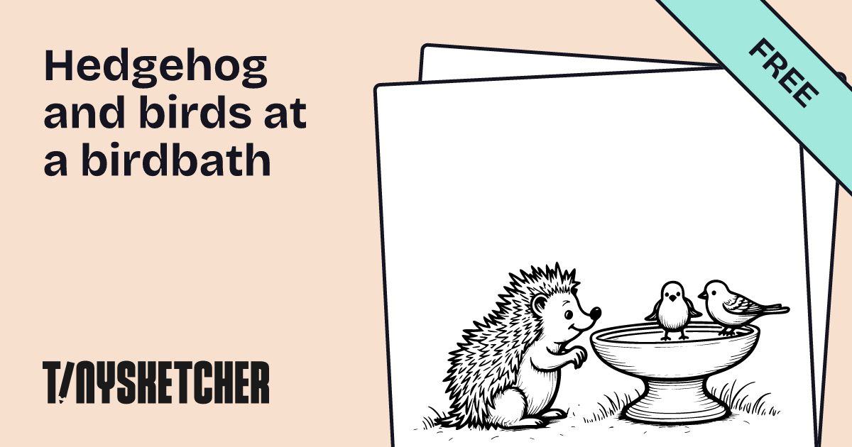 Hedgehog and birds at a birdbath Coloring Page | Free Printables | Tiny Sketcher