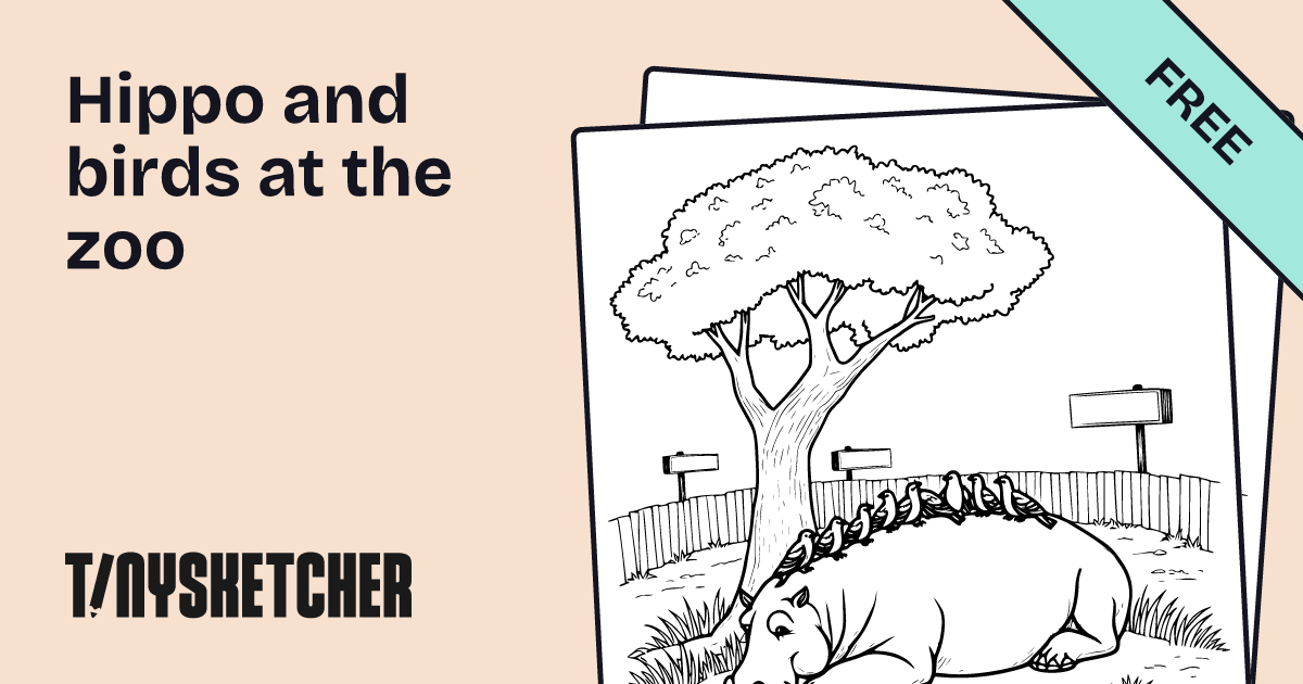 Hippo and birds at the zoo Coloring Page | Free Printables | Tiny Sketcher