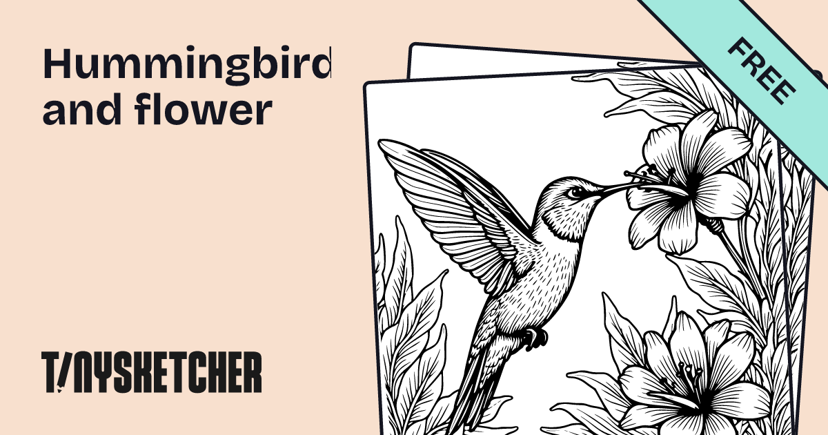 Hummingbird and flower Coloring Page | Free Printables | Tiny Sketcher