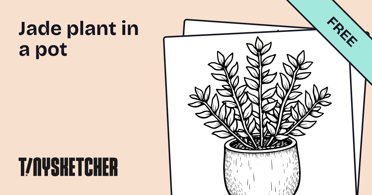 Jade plant in a pot Coloring Page | Free Printables | Tiny Sketcher