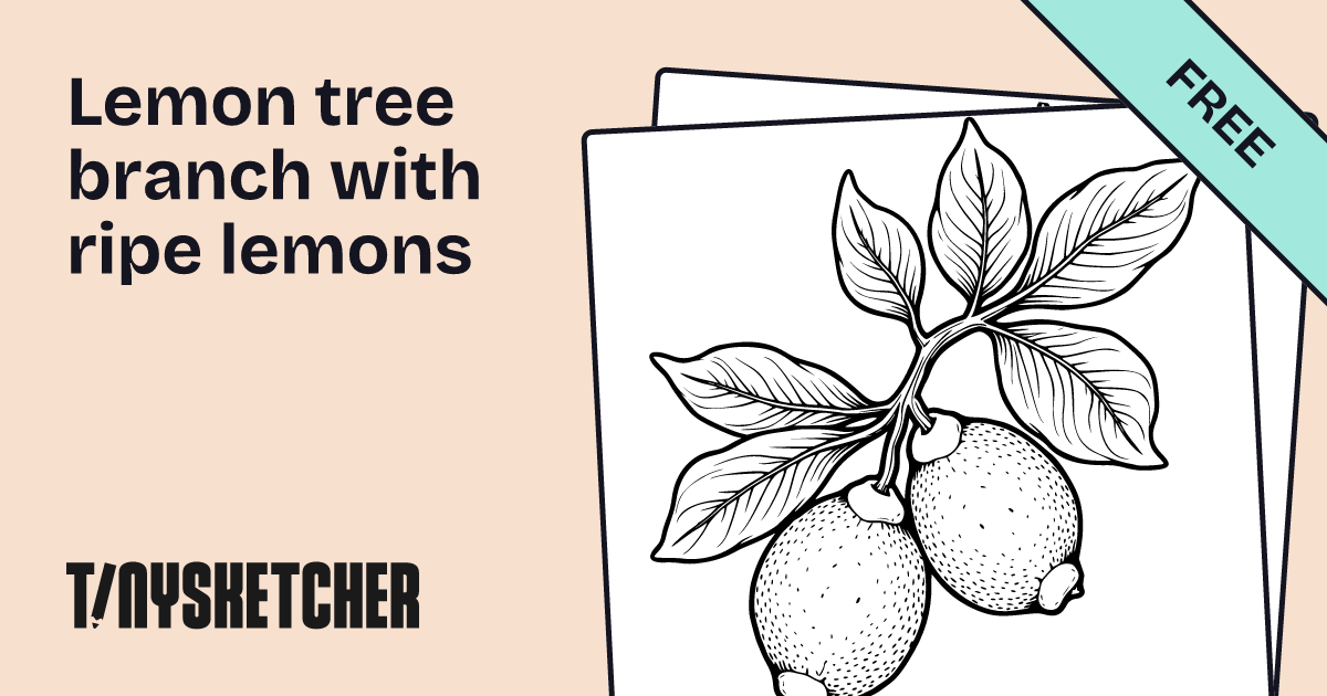 Lemon tree branch with ripe lemons Coloring Page | Free Printables ...