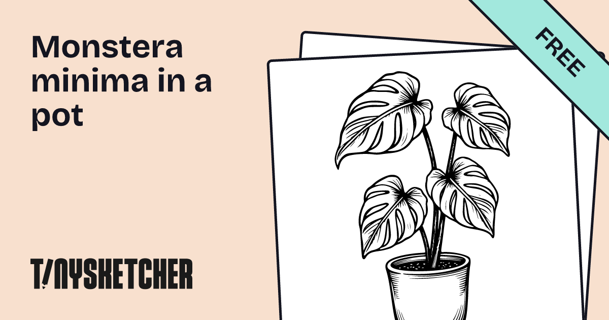 Monstera minima in a pot Coloring Page | Free Printables | Tiny Sketcher