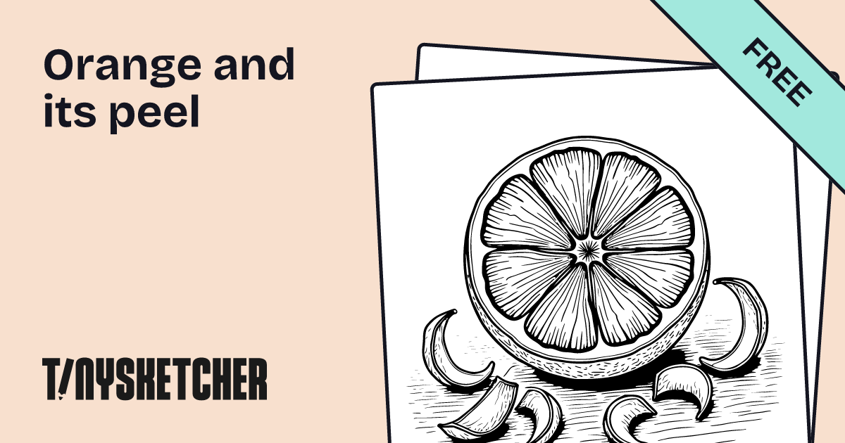 Orange and its peel Coloring Page | Free Printables | Tiny Sketcher