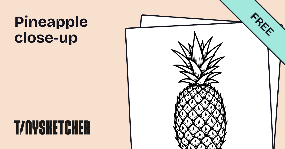 Pineapple close-up Coloring Page | Free Printables | Tiny Sketcher