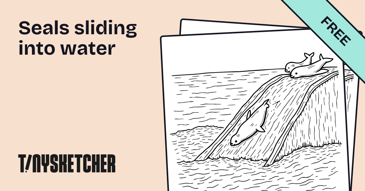 Seals sliding into water Coloring Page | Free Printables | Tiny Sketcher