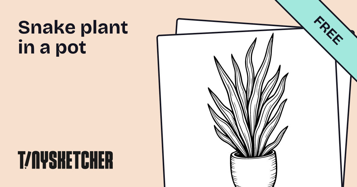 Snake plant in a pot Coloring Page | Free Printables | Tiny Sketcher