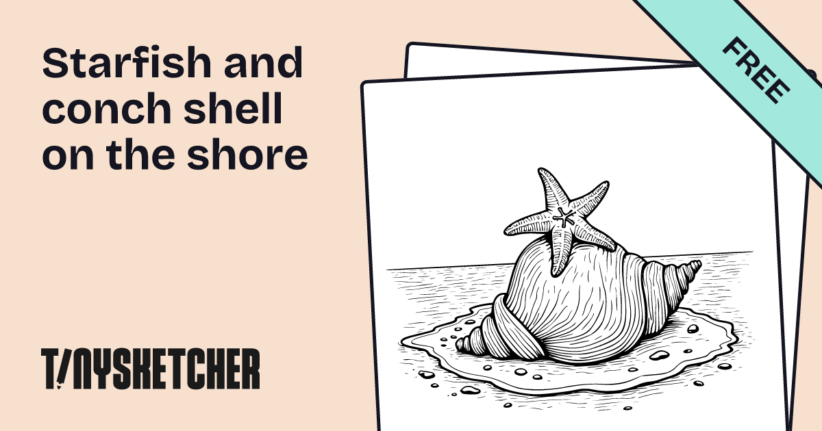 Starfish and conch shell on the shore Coloring Page | Free Printables ...