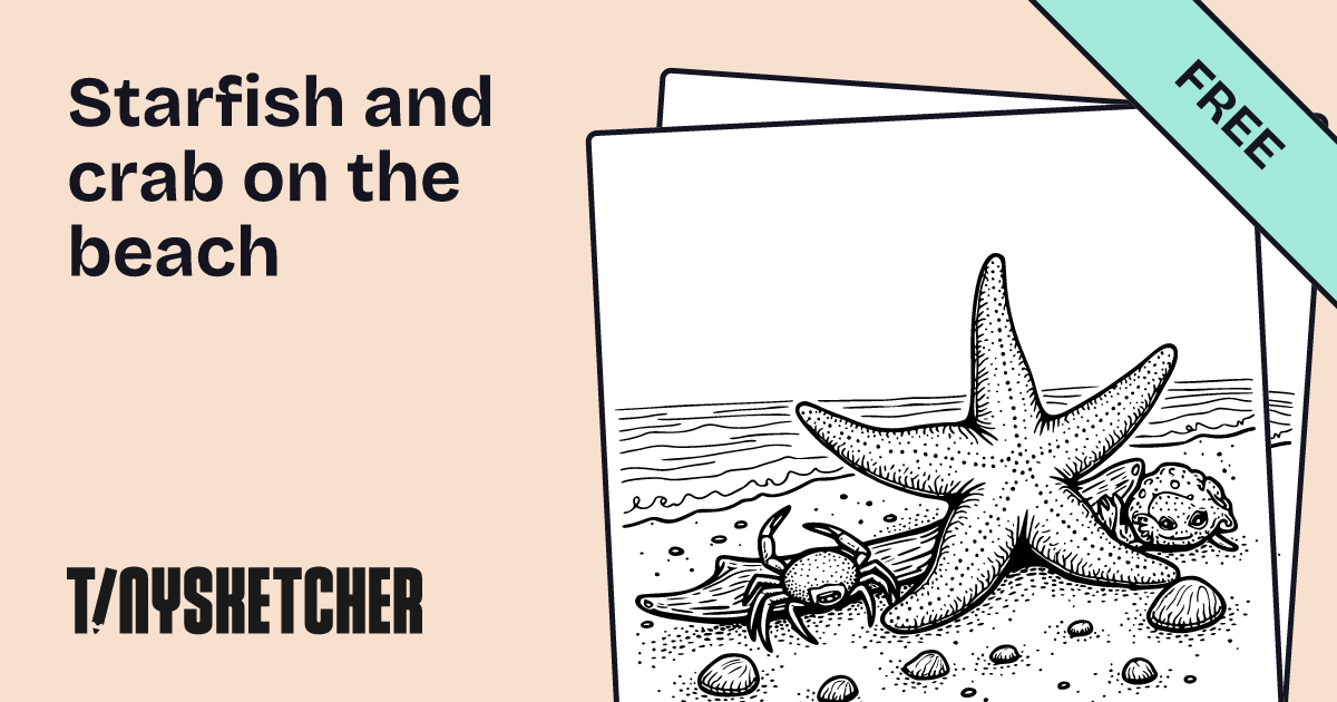 Starfish and crab on the beach Coloring Page | Free Printables | Tiny ...