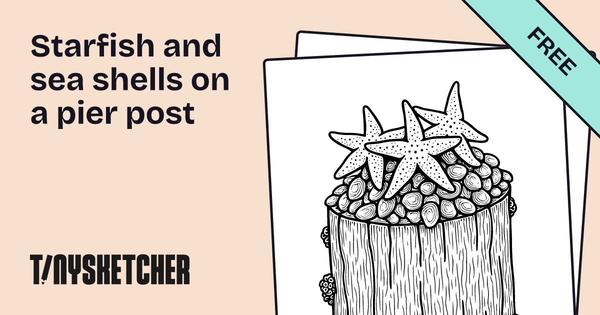 Starfish and sea shells on a pier post Coloring Page | Free Printables ...