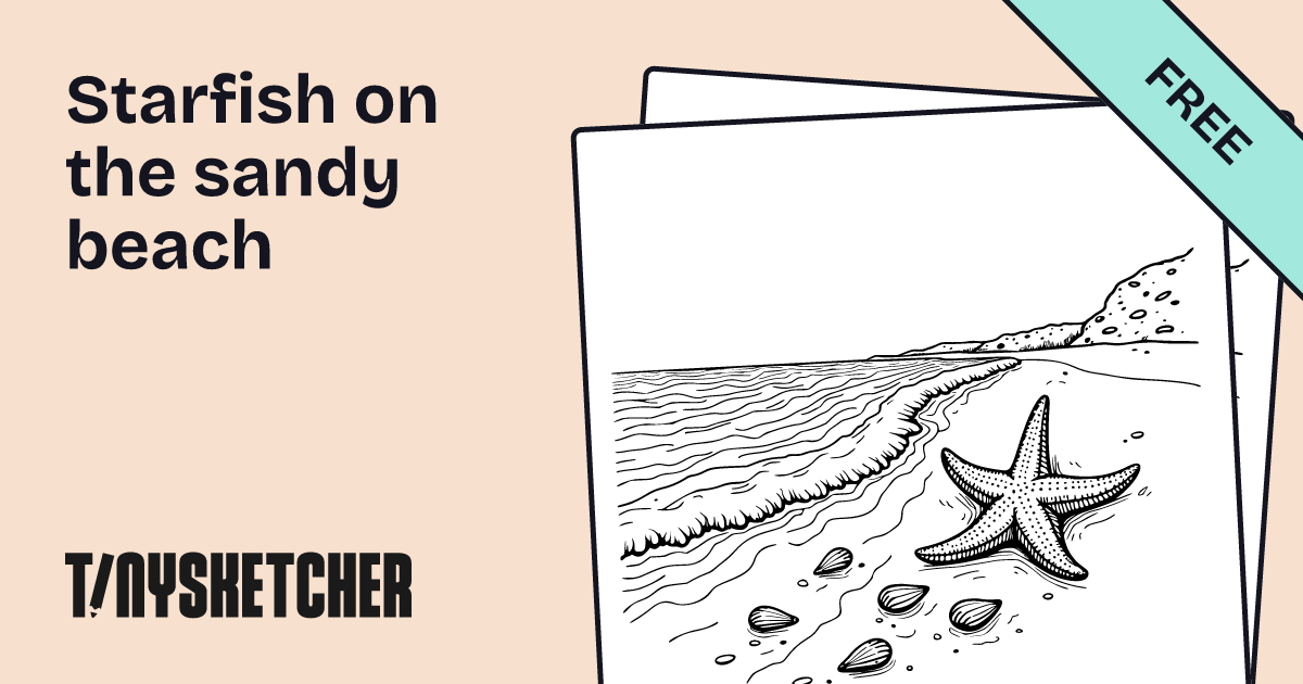 Starfish on the sandy beach Coloring Page | Free Printables | Tiny Sketcher