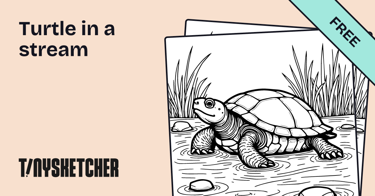 Turtle in a stream Coloring Page | Free Printables | Tiny Sketcher